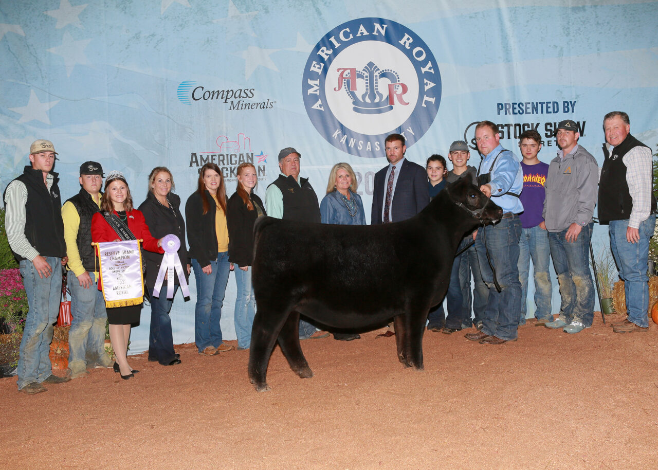 2021 American Royal Super Point Roll of Victory (ROV) Angus Show