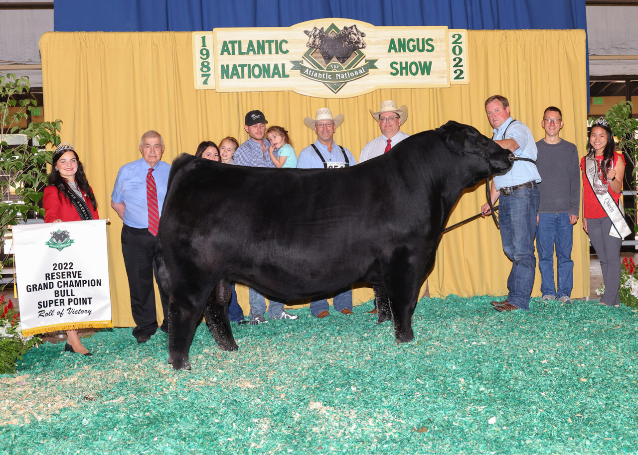 2022 Atlantic National Super Point Roll of Victory (ROV) Angus Show