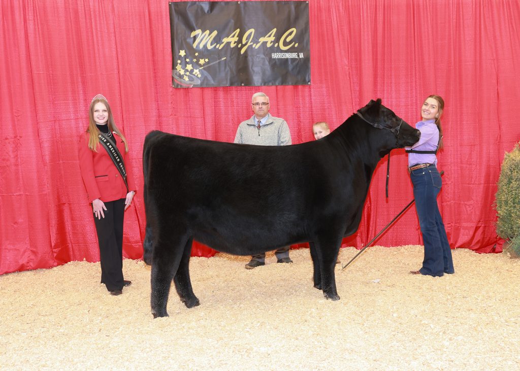 2024 Mid-Atlantic Junior Angus Classic (MAJAC) Regional Preview Show